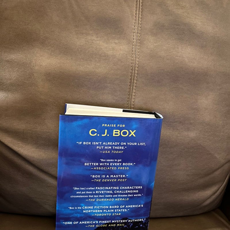 Treasure state by Cj box, Hardcover | Pangobooks