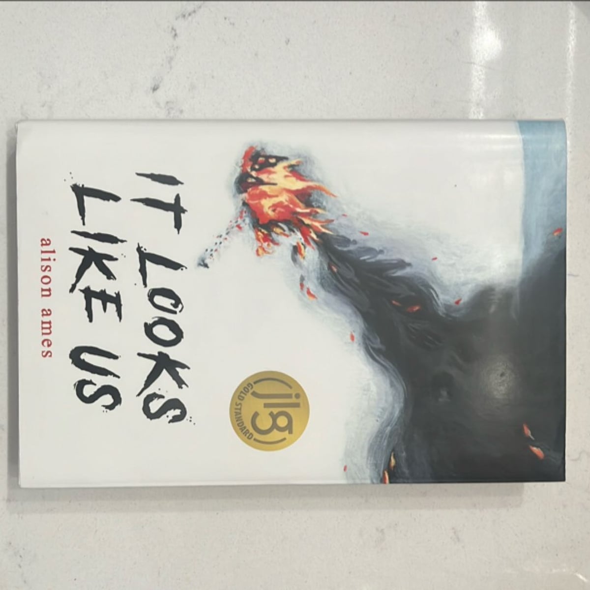 It Looks Like Us by Alison Ames