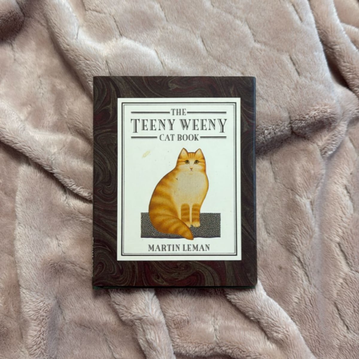 The Teeny Weeny Cat Book by Jill Leman, Martin Leman