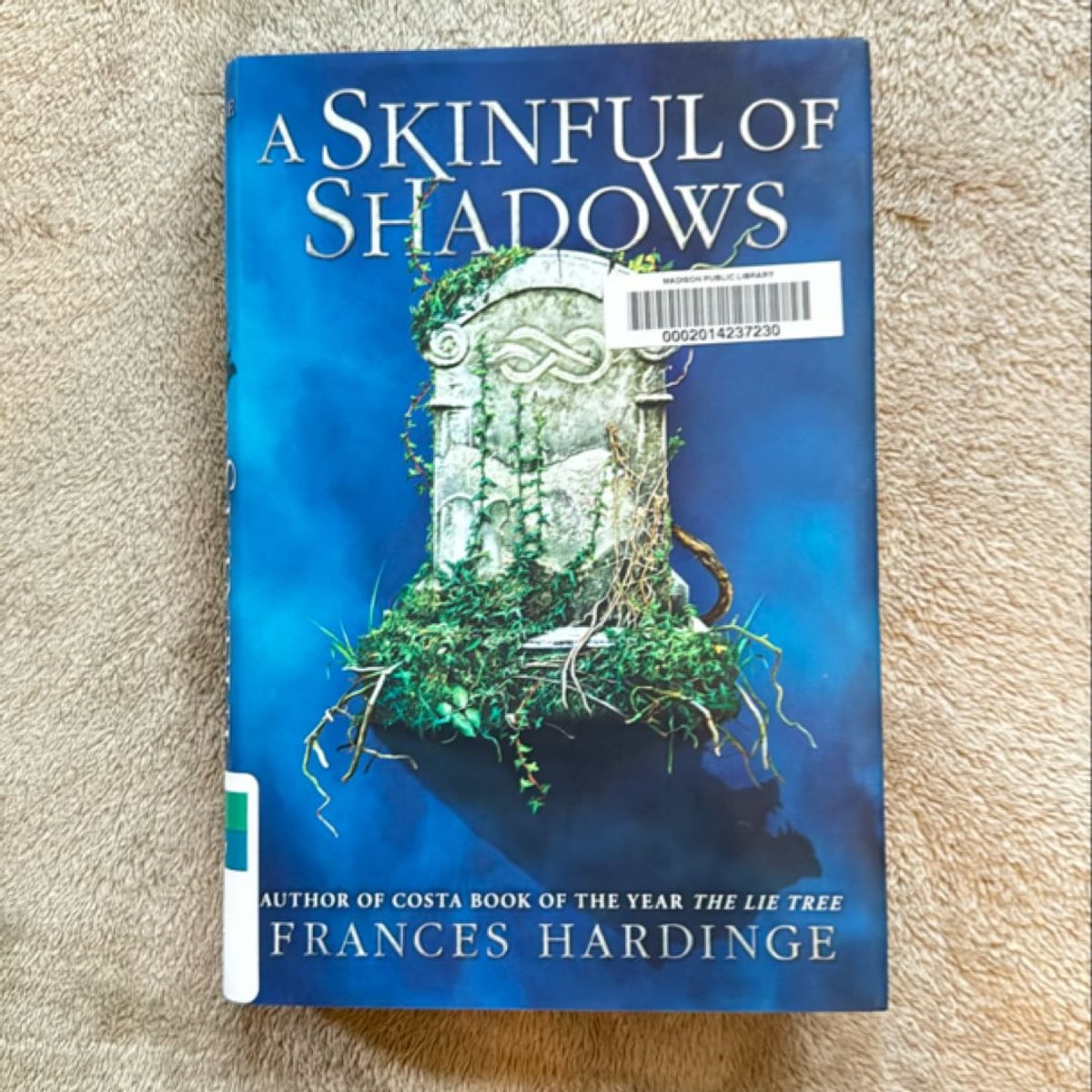 A Skinful of Shadows by Frances Hardinge