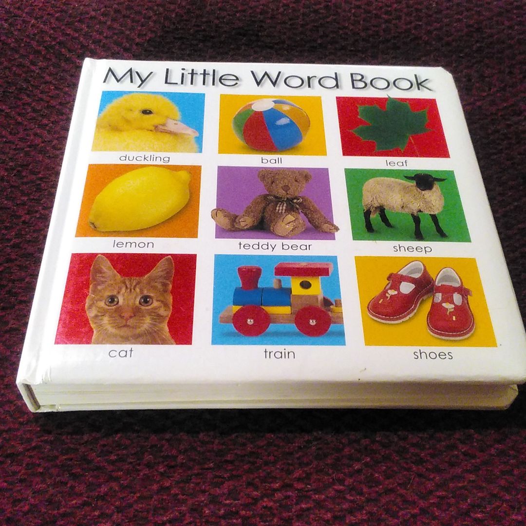 My Little Word Book by Roger Priddy