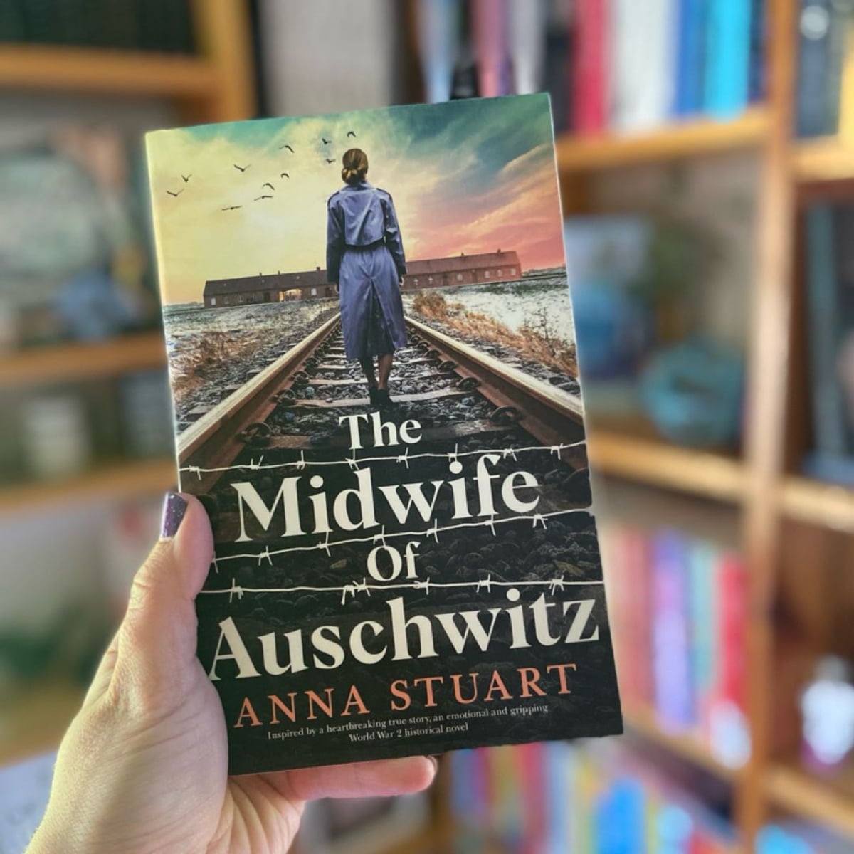 The Midwife of Auschwitz by Anna Stuart