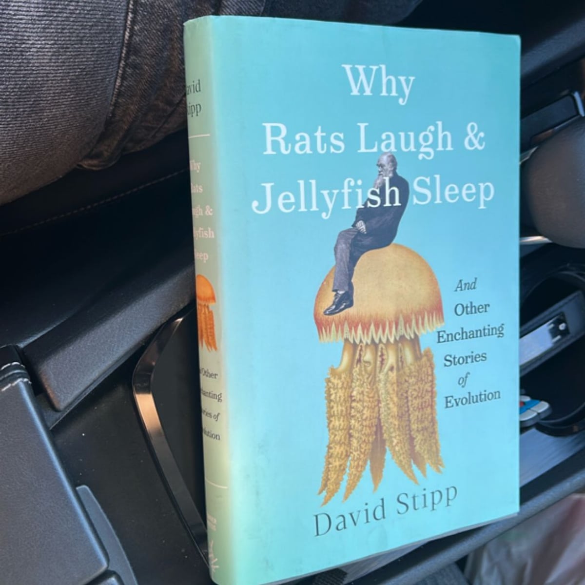 Why Rats Laugh and Jellyfish Sleep by David Stipp
