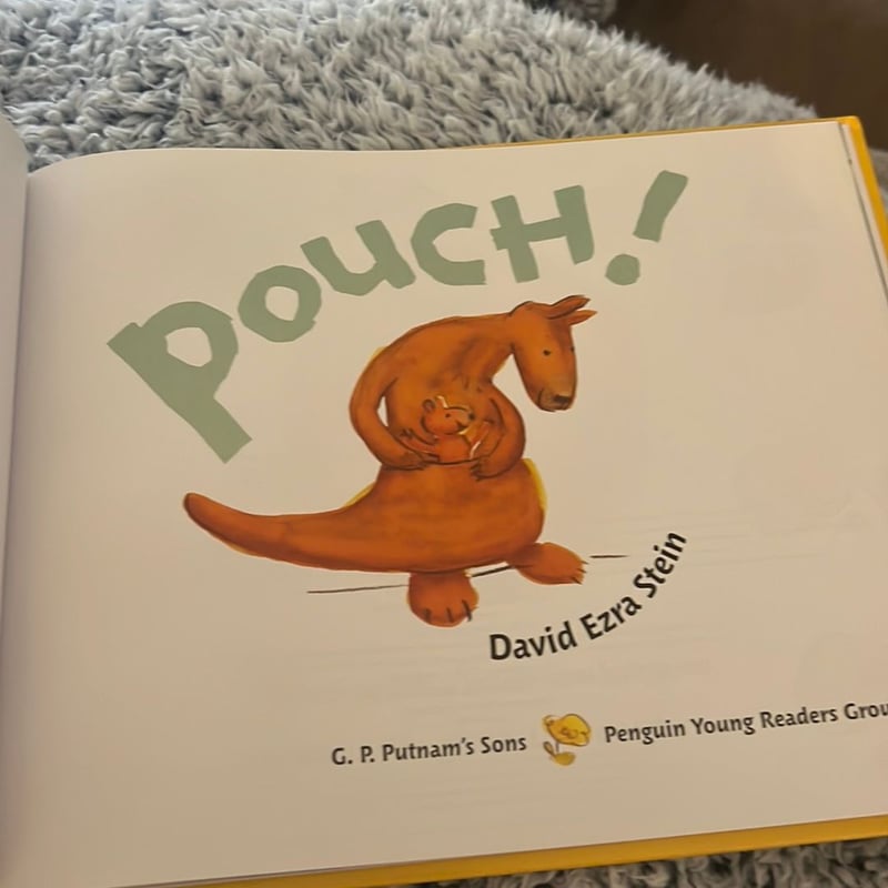 Pouch! by David stein, Hardcover | Pangobooks