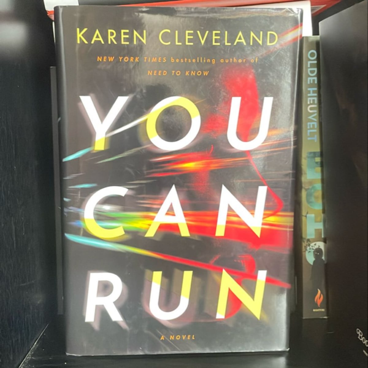 You Can Run by Karen Cleveland