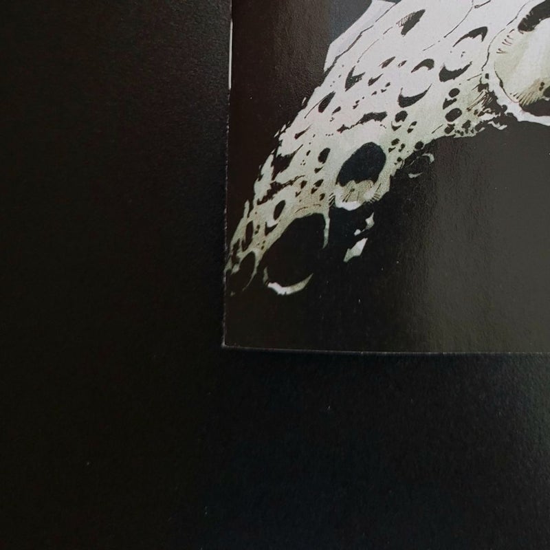 Moon Knight #30 by Jed Mackay , Paperback | Pangobooks