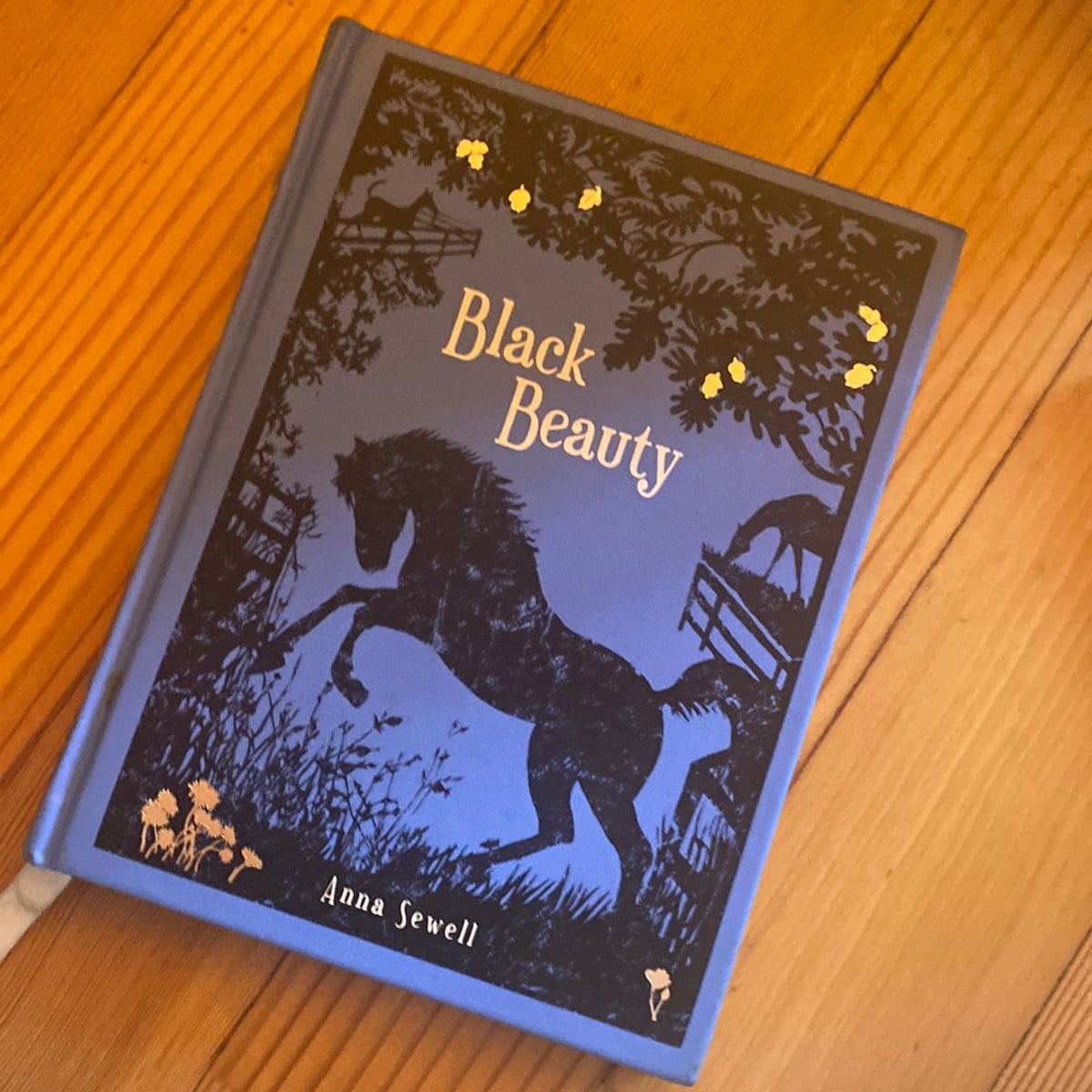 Black beauty by Anna Sewell , Hardcover | Pangobooks