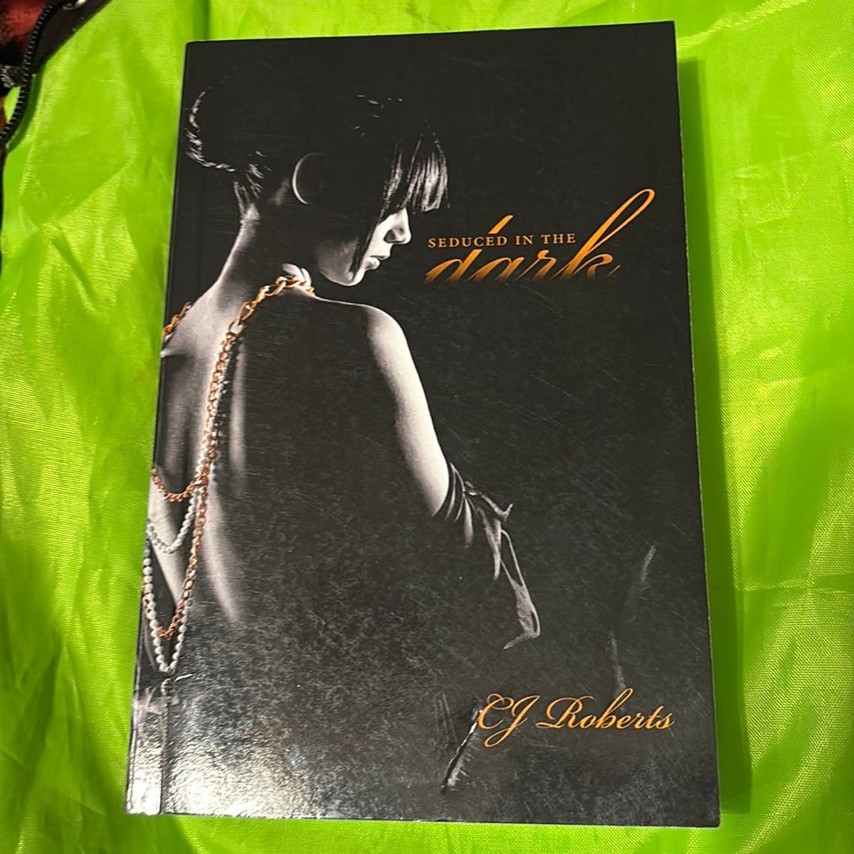 Seduced in the Dark (Special Edition) by C. J. Roberts