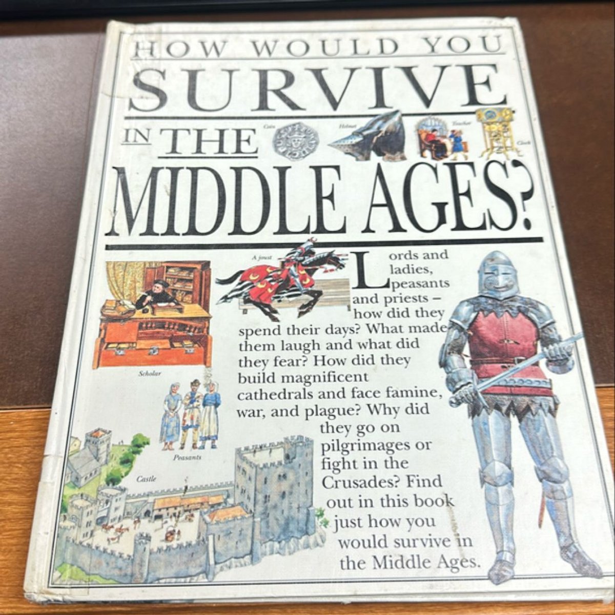 How Would You Survive in the Middle Ages? by Fiona MacDonald