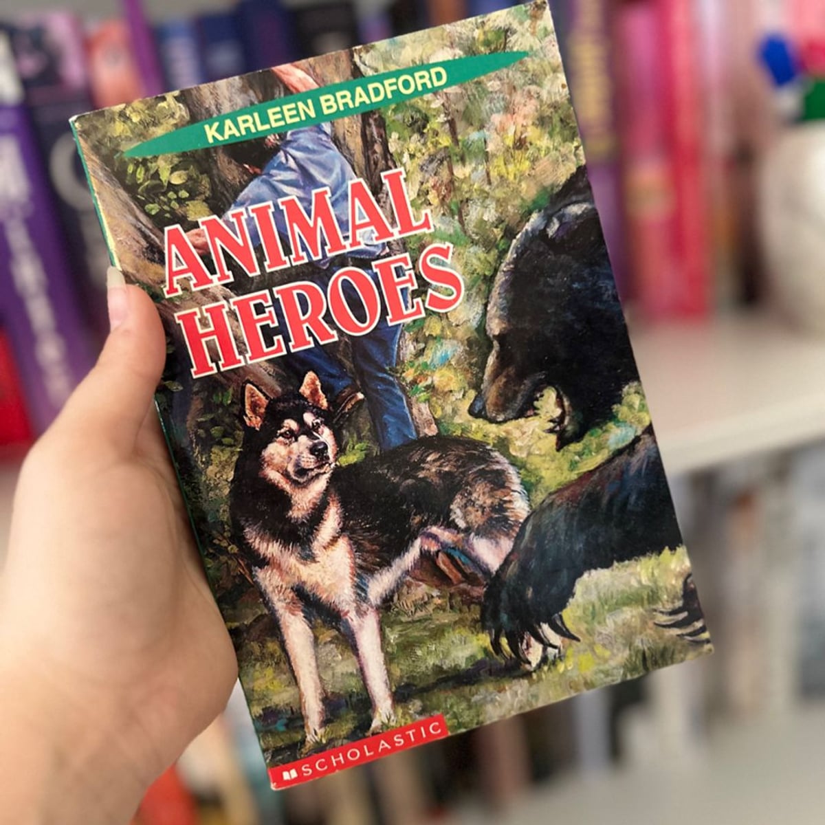 Animal Heroes by Bradford Karleen