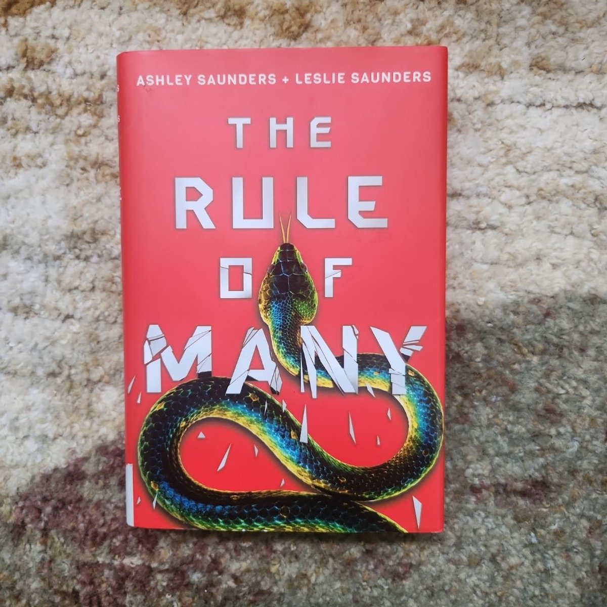 The Rule of Many by Ashley Saunders, Leslie Saunders