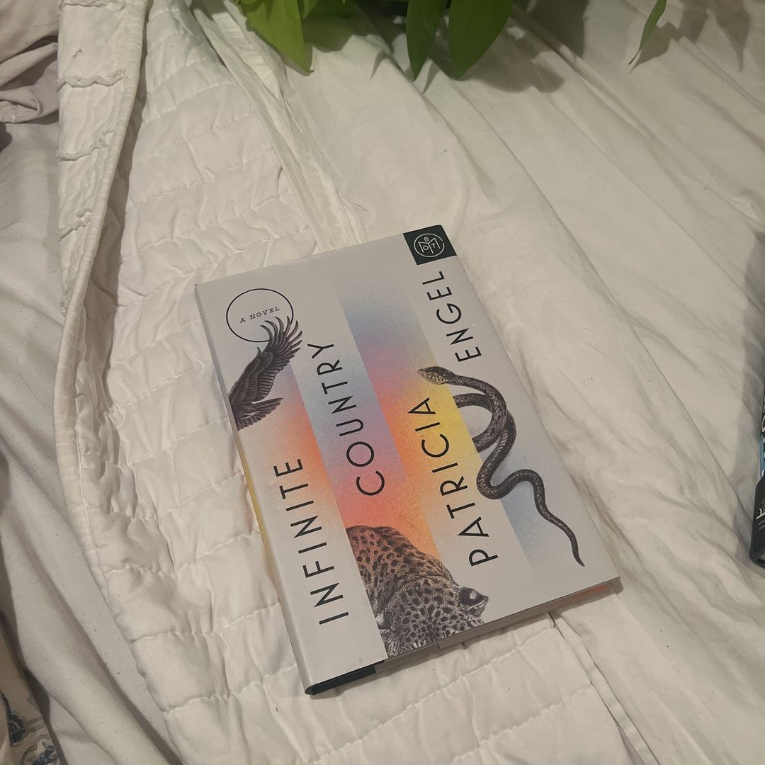Infinite Country by Patricia Engel, Hardcover | Pangobooks