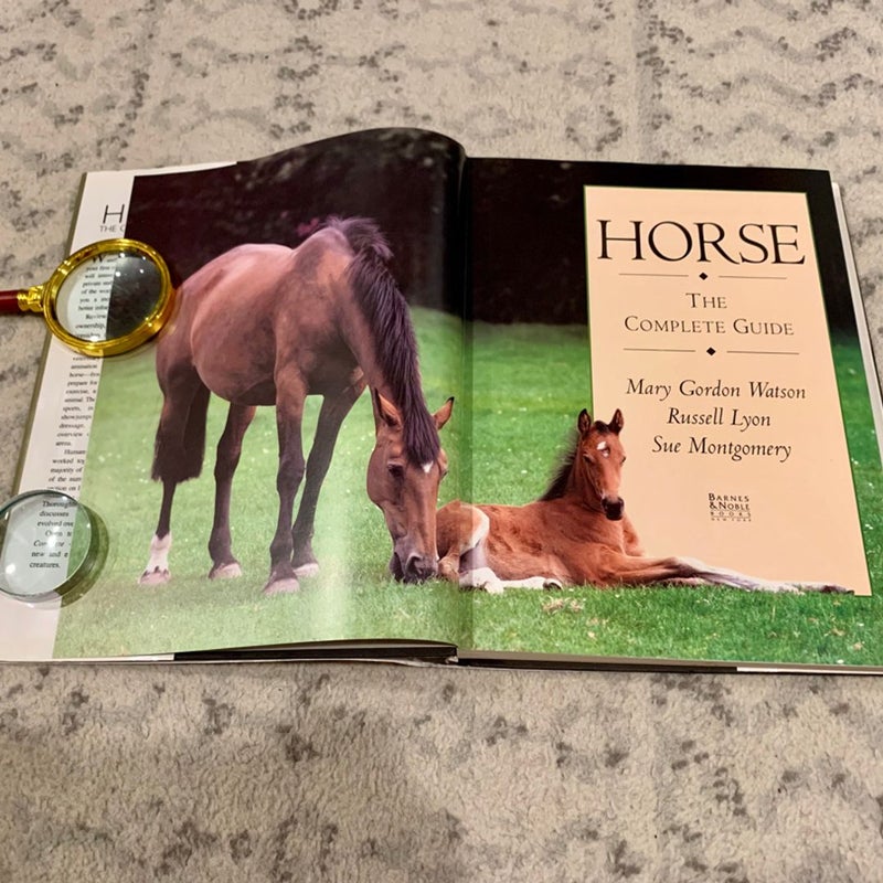 Horse by Mary Gordon-Watson