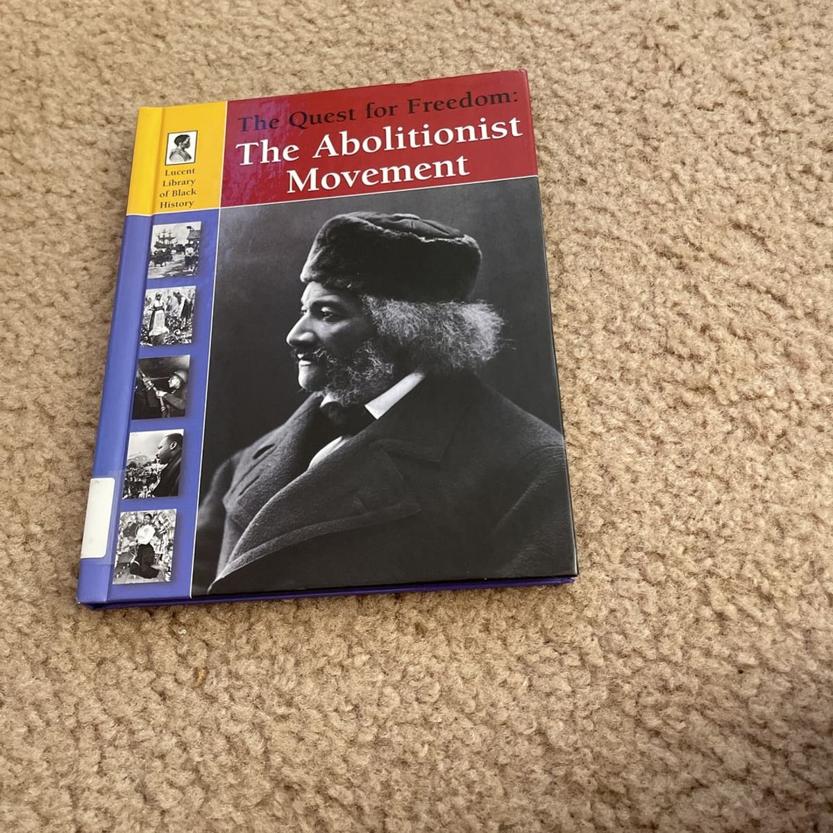 The Quest for Freedom by Stephen Currie