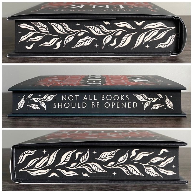 SIGNED - Ink Blood Sister Scribe Illumicrate Special Edition by Emma ...