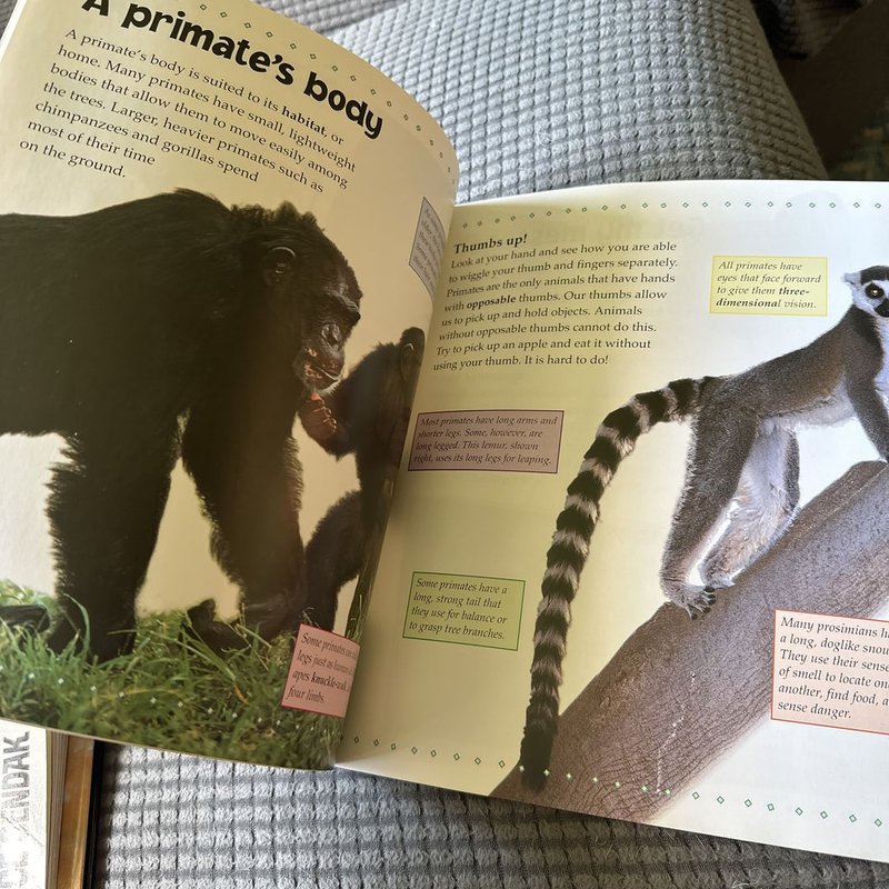What Is a Primate? by Bobbie Kalman