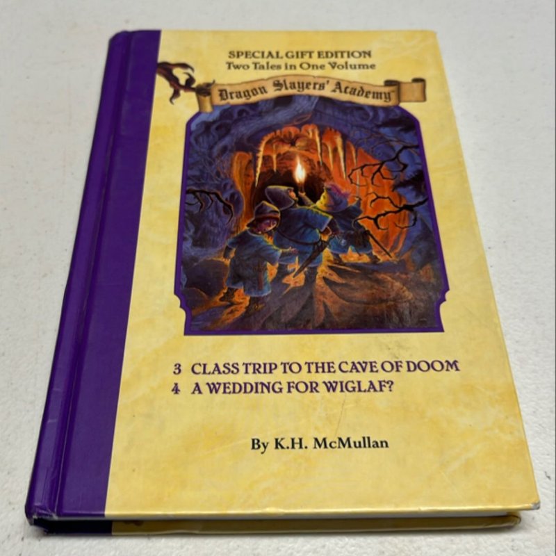 Dragon Slayers' Academy by Kate McMullan