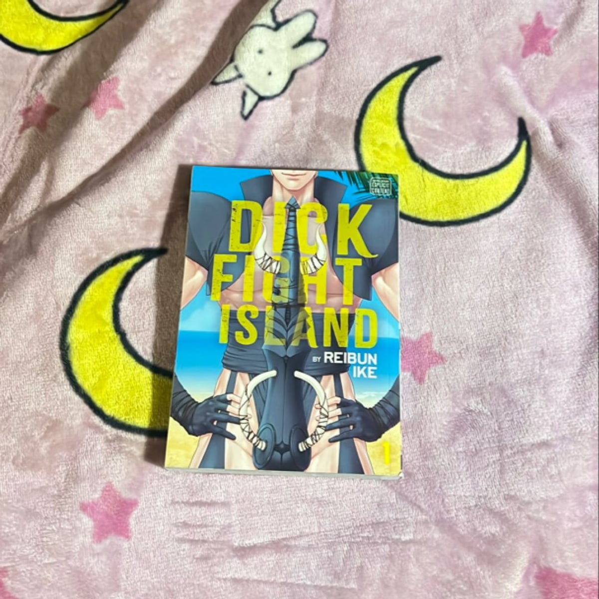 Dick Fight Island, Vol. 1 by Reibun Ike