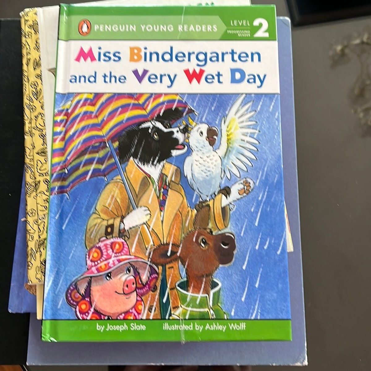 Miss Bindergarten and the Very Wet Day by Joseph Slate
