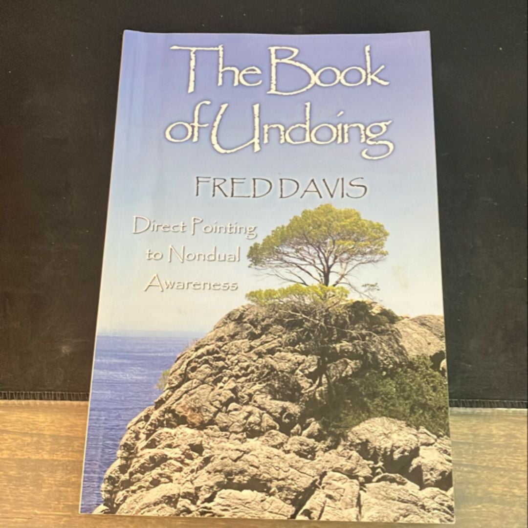 The Book of Undoing by Fred Davis, Paperback | Pangobooks