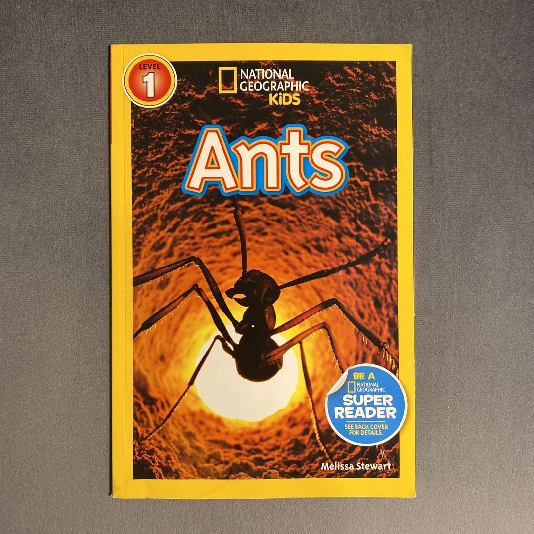 National Geographic Readers: Ants by Melissa Stewart, Paperback ...