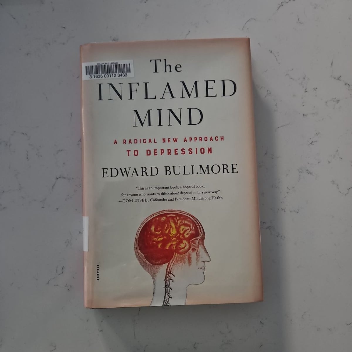 The Inflamed Mind by Edward Bullmore