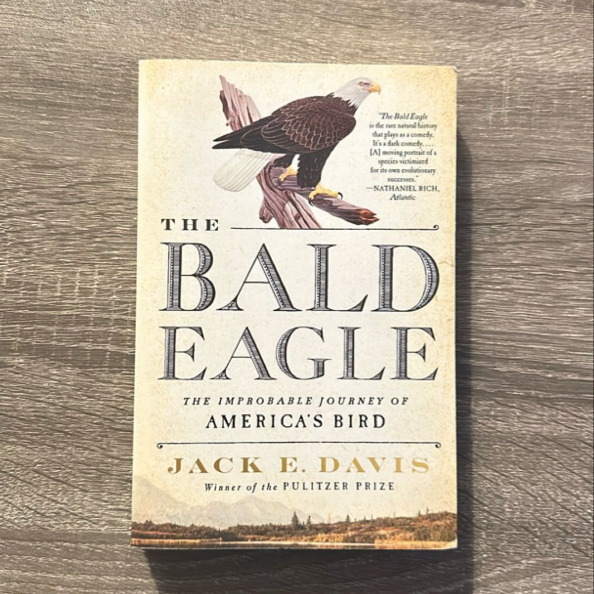 The Bald Eagle by Jack E. Davis