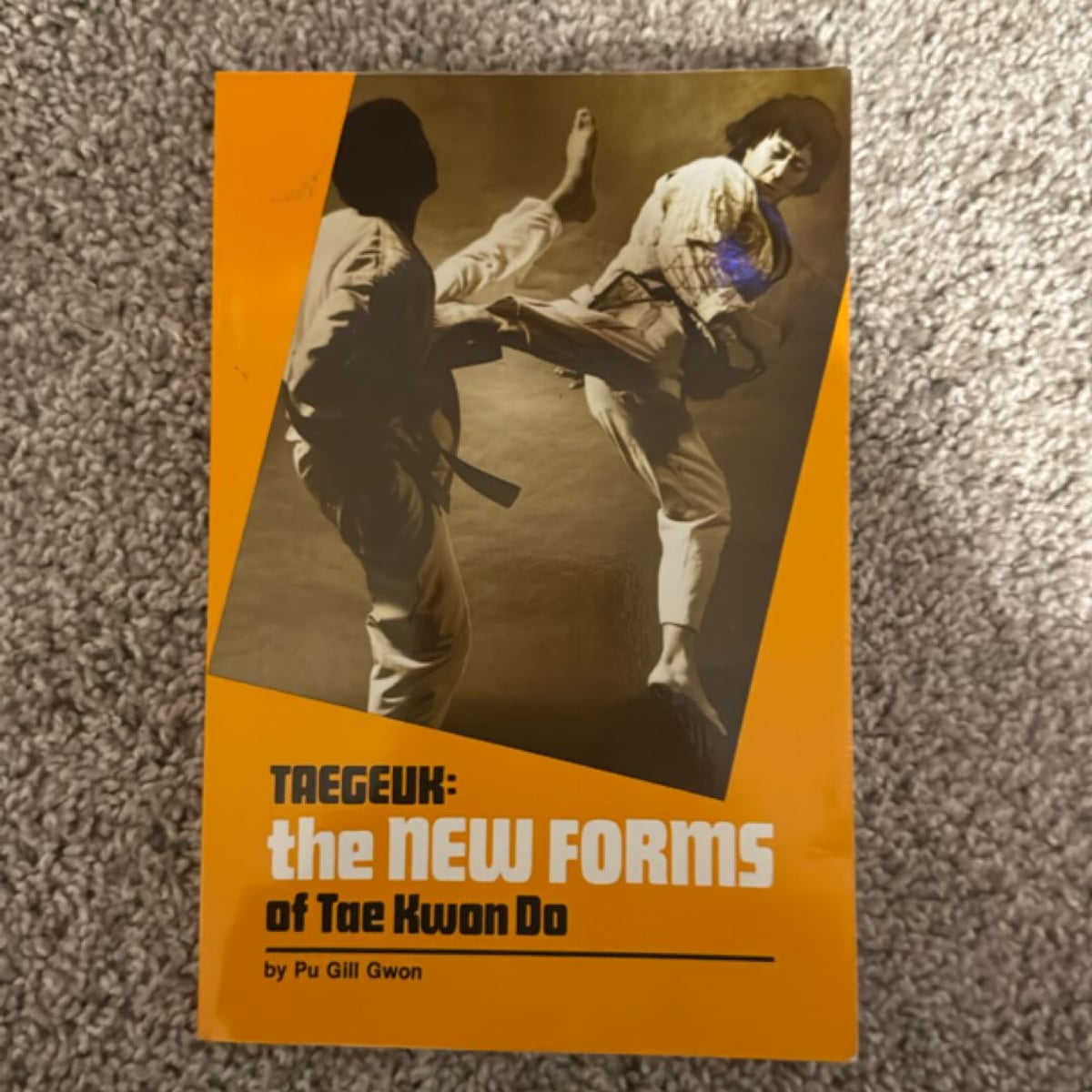 Taegeuk: the New Forms of Tae Kwon Do by Pu Gill Gwon