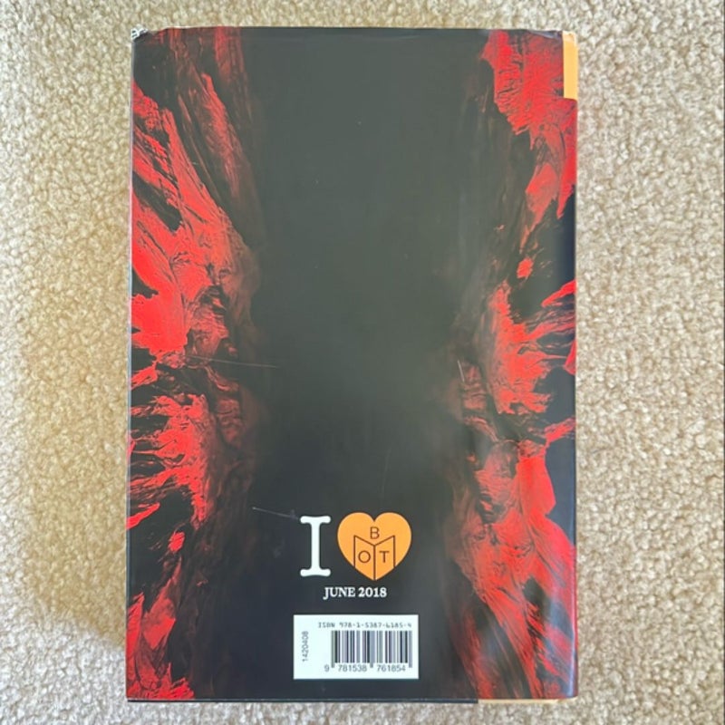 The Anomaly by Michael Rutger