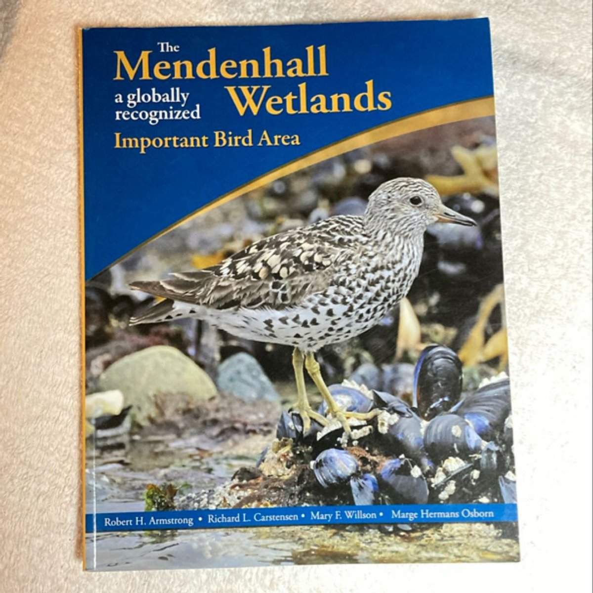The Mendenhall Wetlands by Robert Armstrong