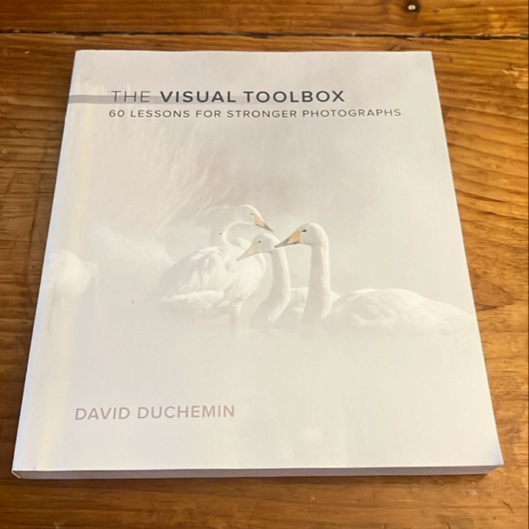 The Visual Toolbox by David duChemin