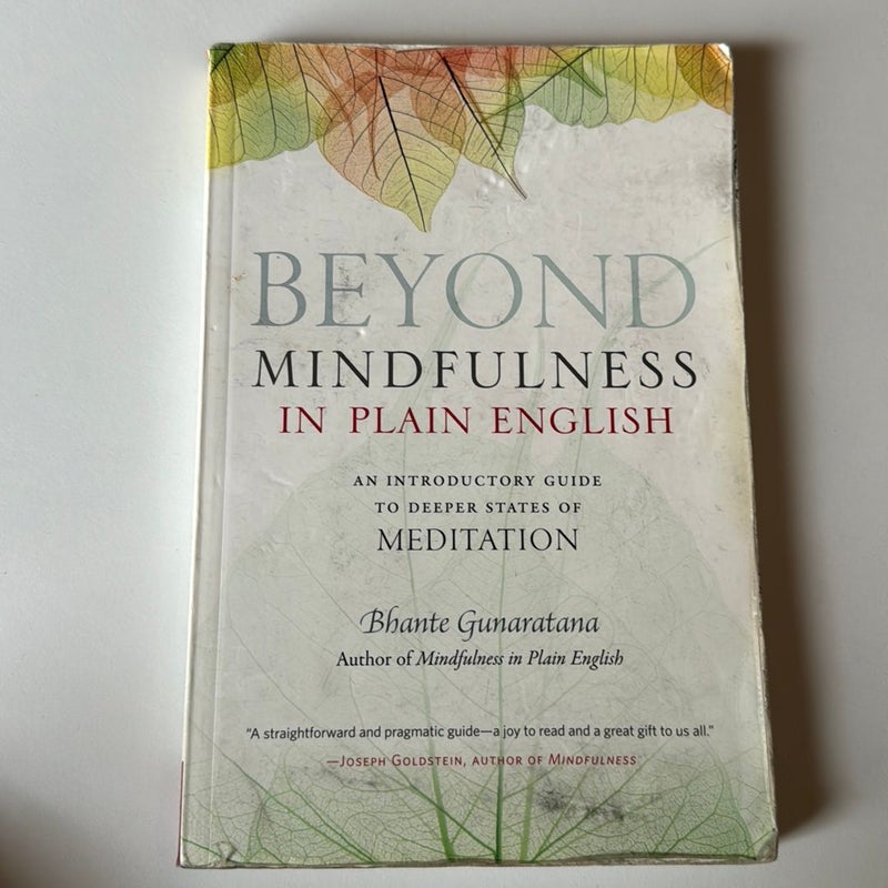 Beyond Mindfulness in Plain English by Gunaratana, Paperback | Pangobooks