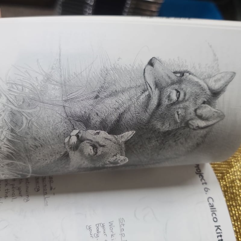 Pencil Drawing by Gene Franks