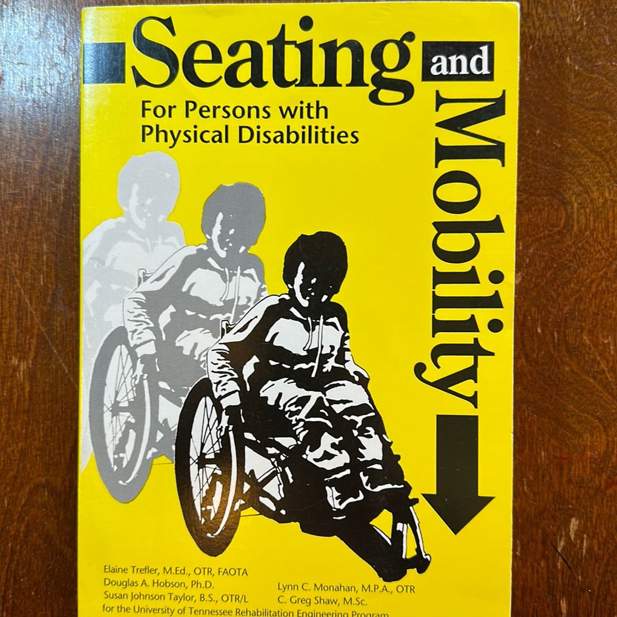 Seating and Mobility by Elaine Trefler, Paperback | Pangobooks