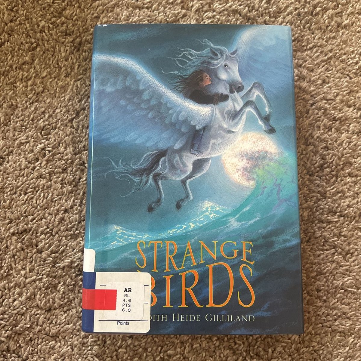 Strange Birds by Judith Heide Gilliland
