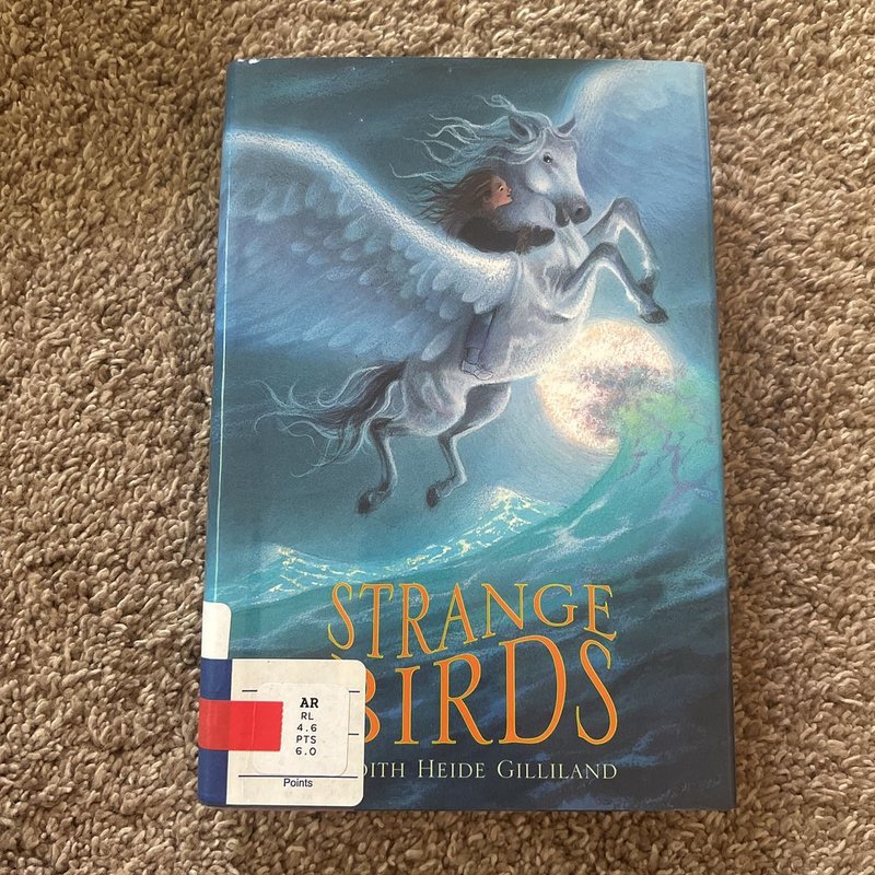Strange Birds by Judith Heide Gilliland