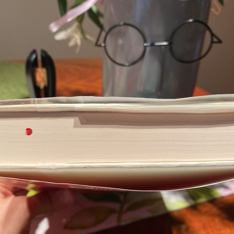 The Lost Letter by Jillian Cantor