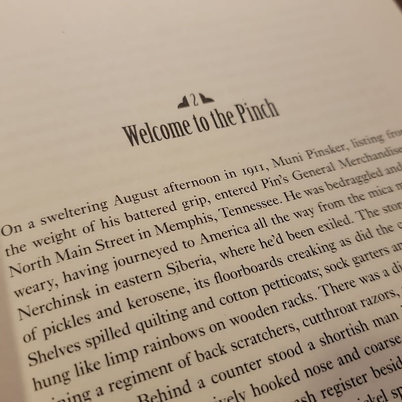 The Pinch by Steve Stern, Hardcover | Pangobooks
