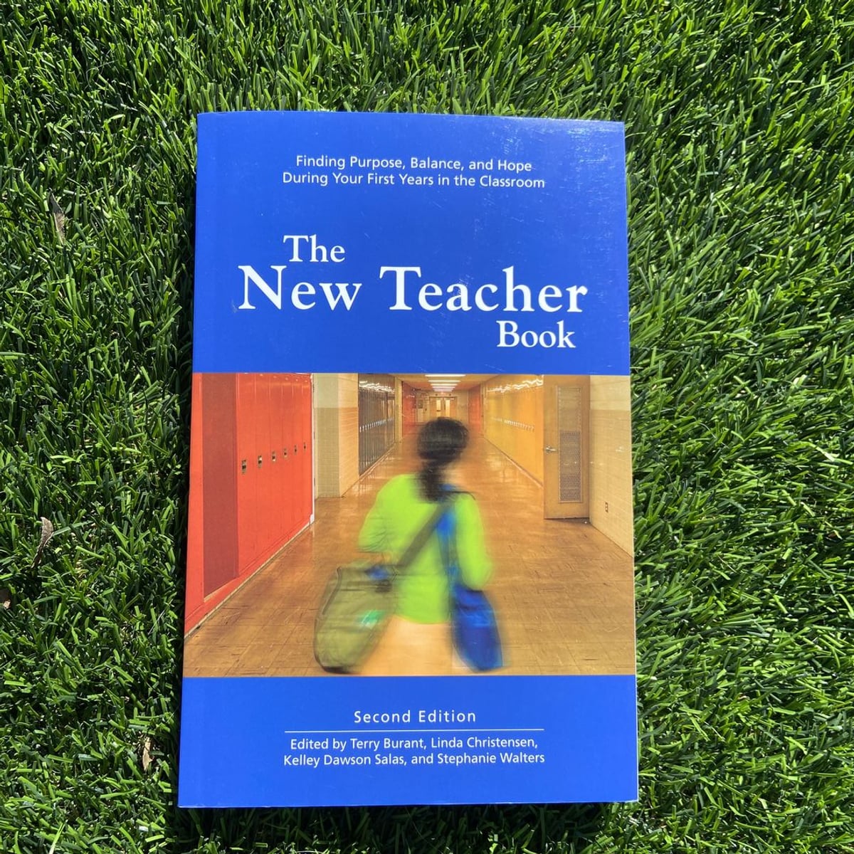 The New Teacher Book by Terry Burant