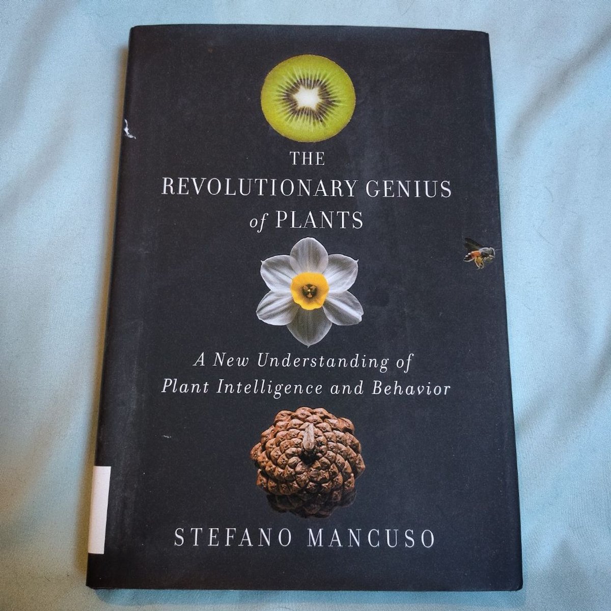 The Revolutionary Genius of Plants by Stefano Mancuso
