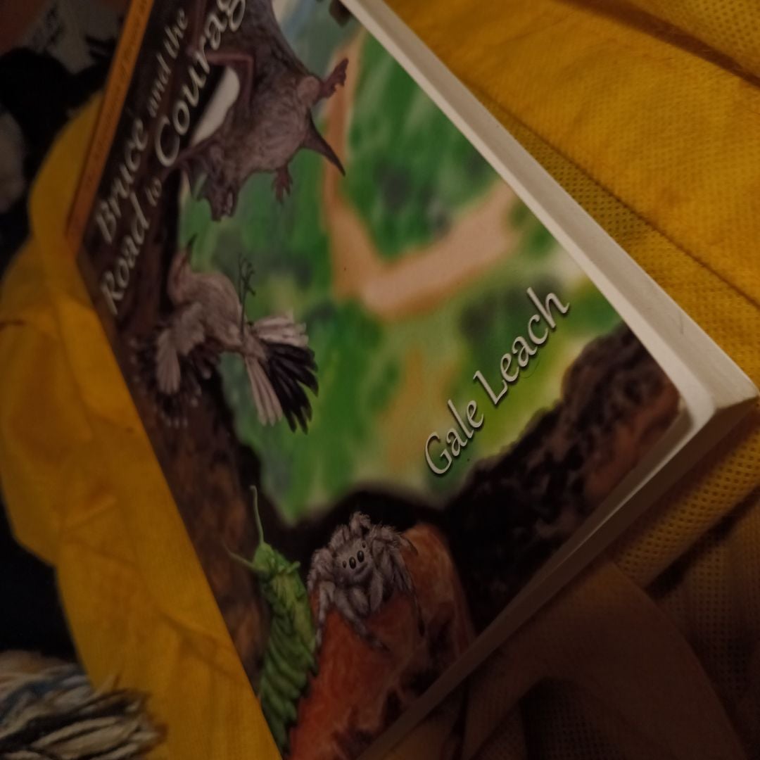 Bruce and the Road to Courage by Gale Leach