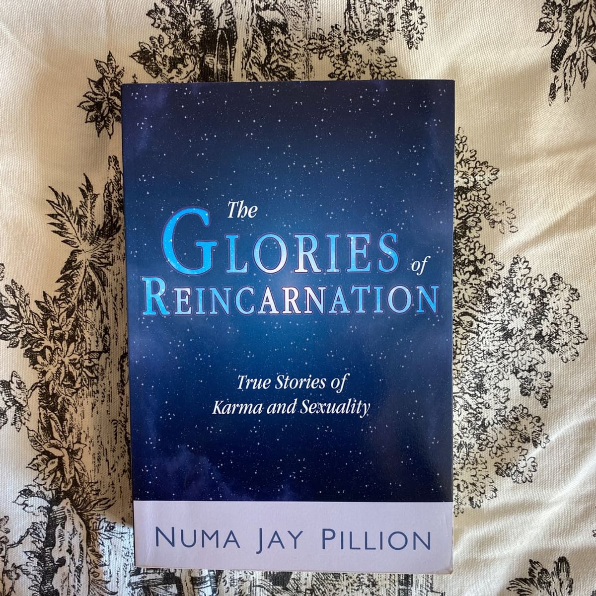 The Glory of Reincarnation by Numa Pillion