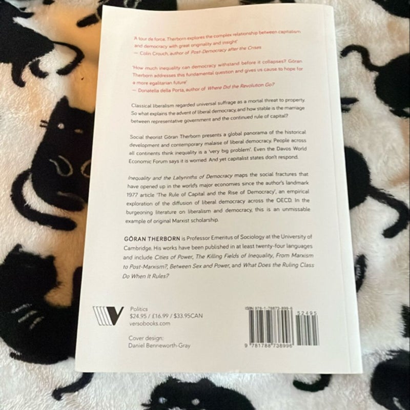 Inequality and the Labyrinths of Democracy by Goran Therborn, Paperback ...