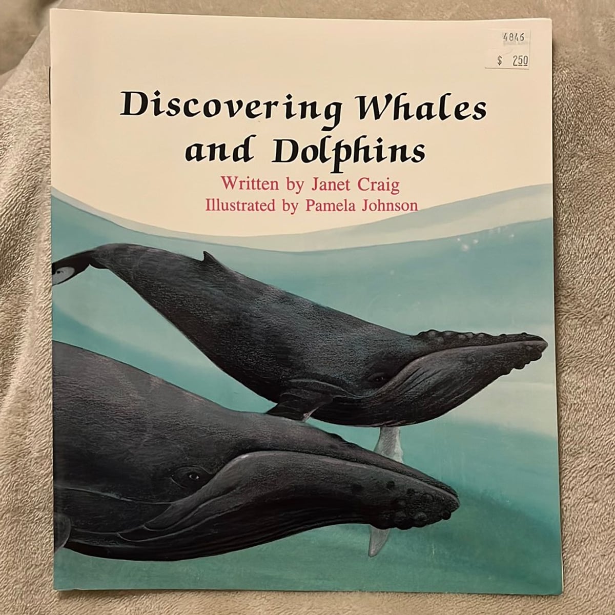 Discovering Whales and Dolphins by Janet Craig