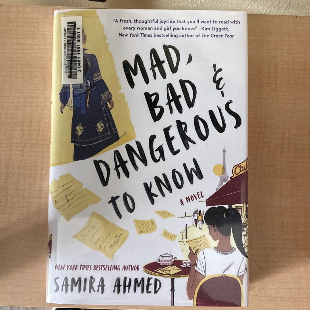 Mad, Bad and Dangerous to Know by Samira Ahmed