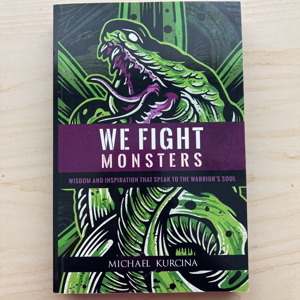 We Fight Monsters by Michael Kurcina