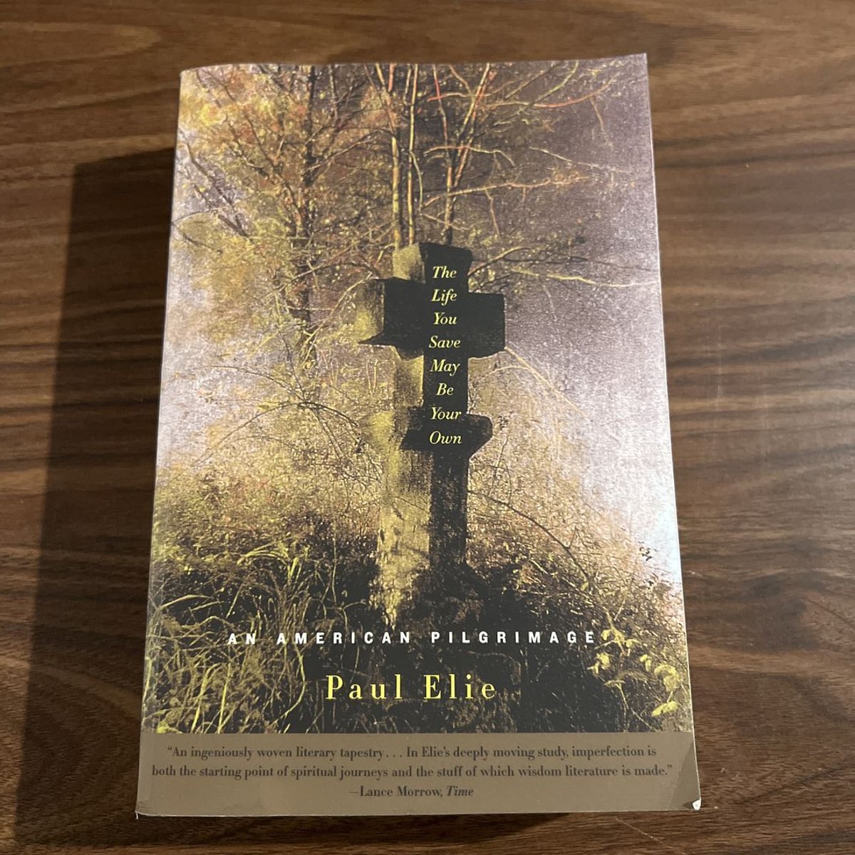 The Life You Save May Be Your Own by Paul Elie