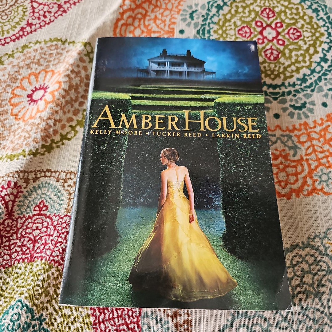 Amber House by Kelly Moore, Tucker Reed, Larkin Reed, Paperback ...