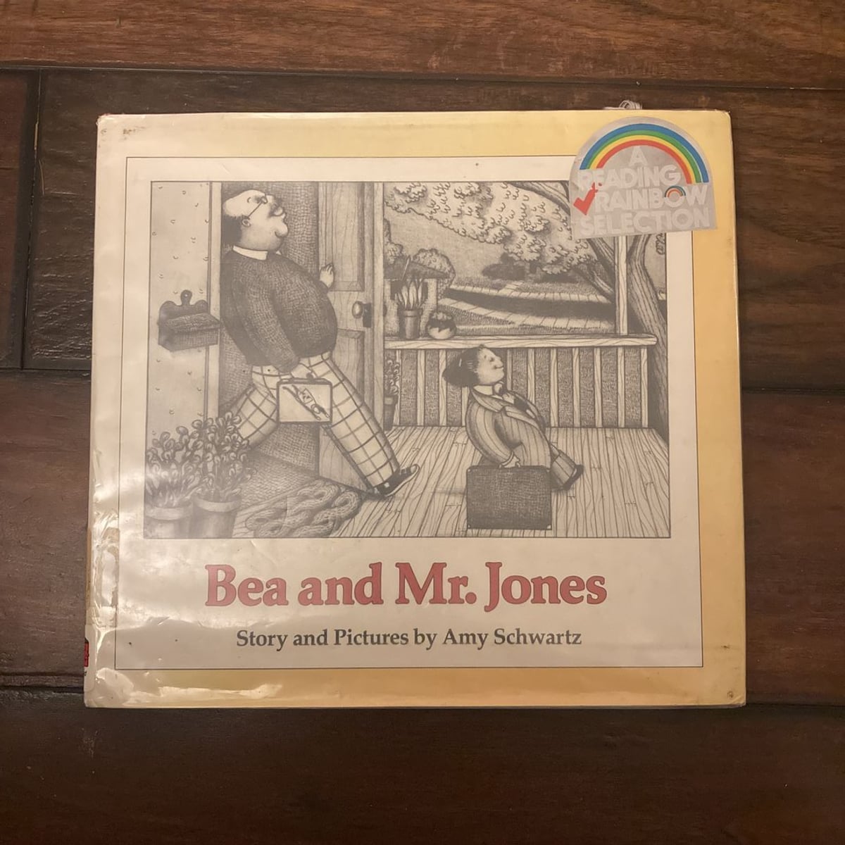 Bea and Mr. Jones by Amy Schwartz