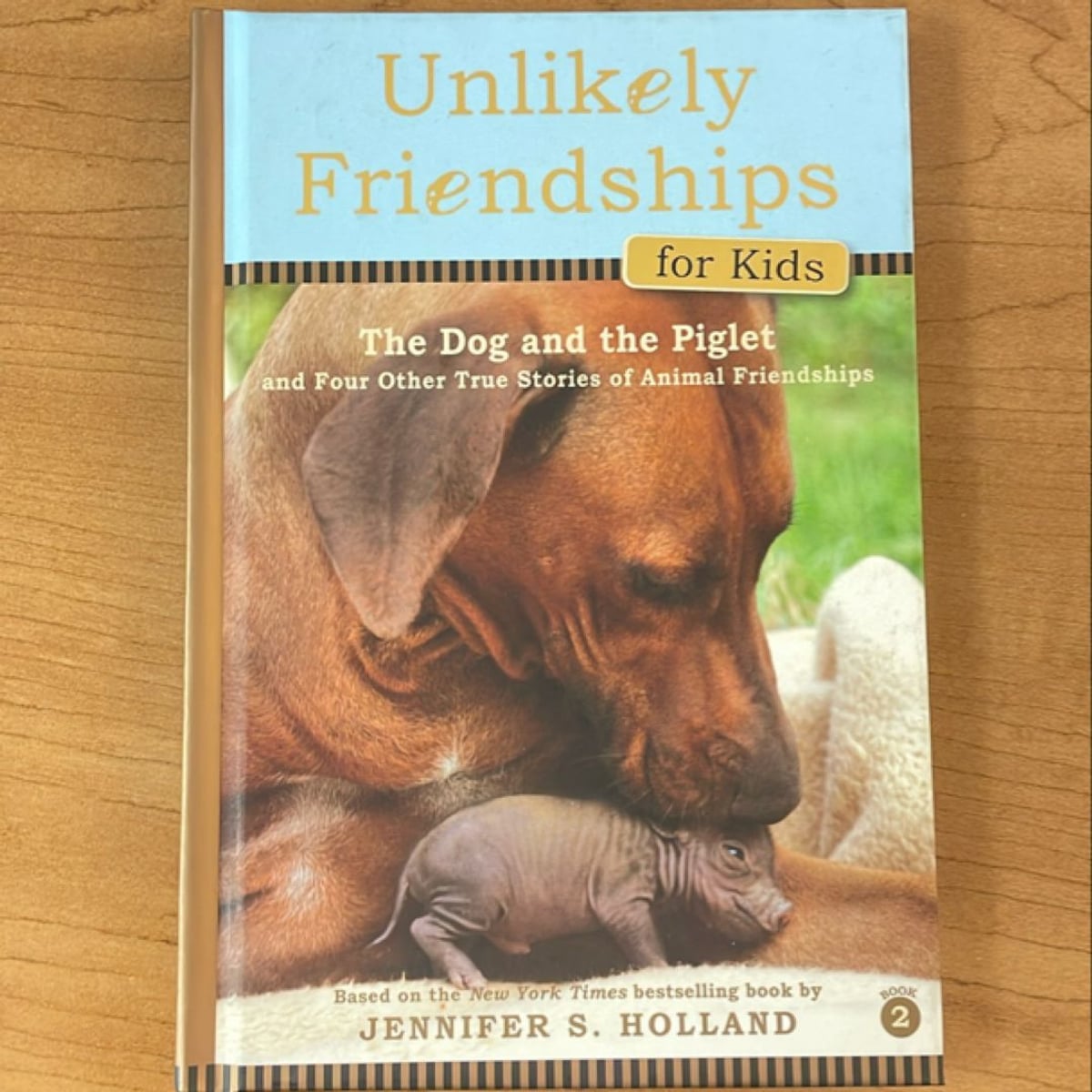 Unlikely Friendships for Kids: the Dog and the Piglet by Jennifer S ...